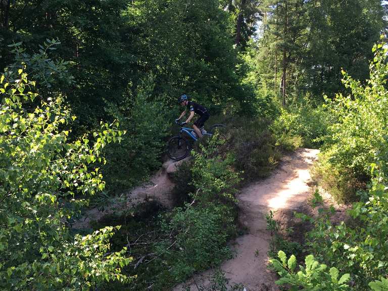 Trail branches Schmausenbuck - Mountain Bike Trails & Tracks | Komoot