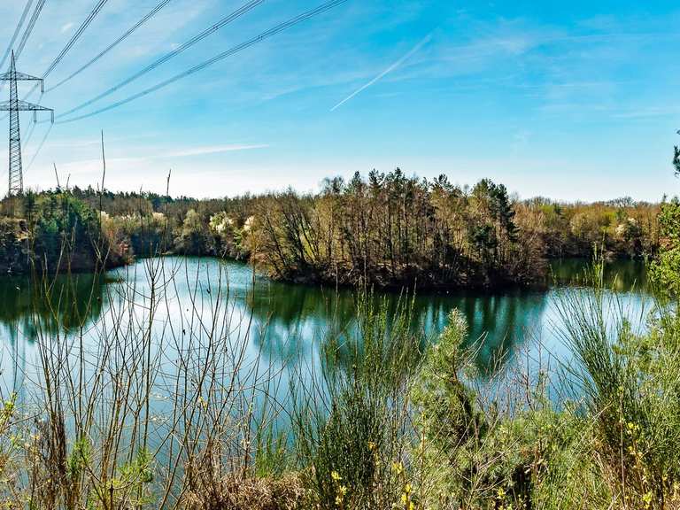 Vogelsberger See, Canyon-Brücke: Wanderungen und Rundwege | komoot