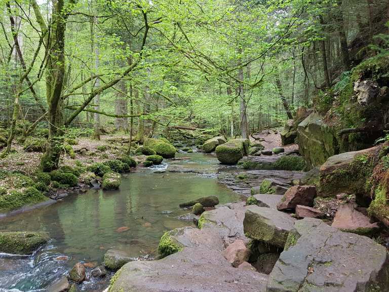 Monbachtal Routes for Walking and Hiking | Komoot