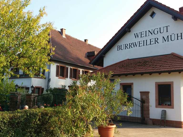 Burrweiler Mühle Routes for Walking and Hiking | Komoot