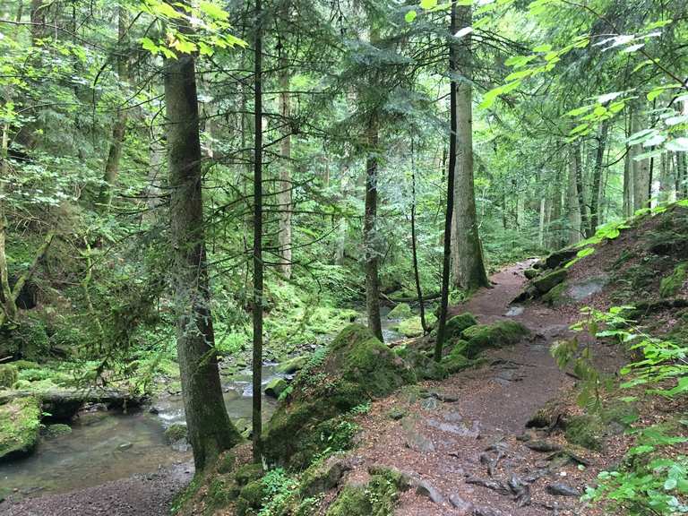 Monbachtal: Wanderungen und Rundwege | komoot