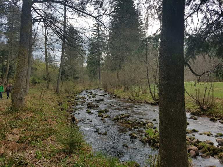 Eyach Wasserwegle: Wanderungen und Rundwege | komoot