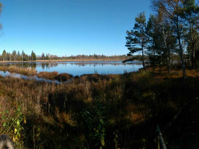 Riedsee: Wanderungen und Rundwege | komoot