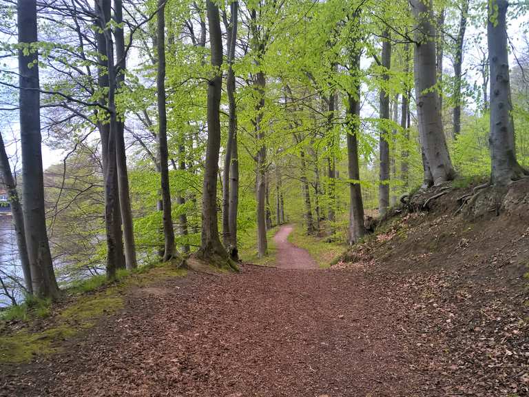 Schwentine Wanderweg (Ostseite bei Schwentinental): MTB-routes en ...