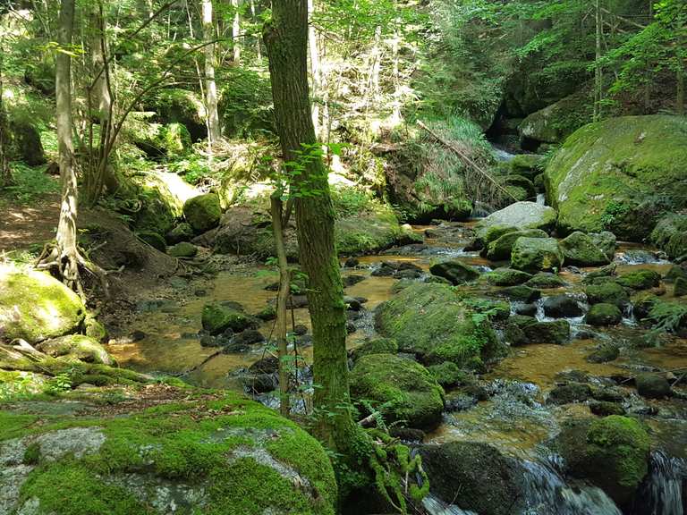 Ysperklamm: Wanderungen und Rundwege | komoot