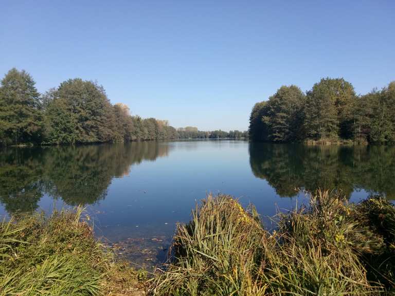 Elegantes A9 Baarer Weiher Bilder