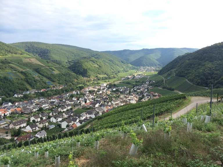 Dernau Ausblick: Rennradfahren und Rennradtouren | komoot