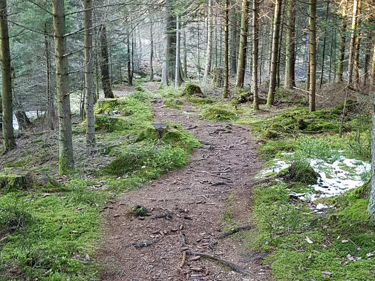 Eyach Wasserwegle: Wanderungen und Rundwege | komoot