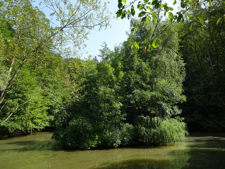 Eichensee: Wanderungen und Rundwege | komoot