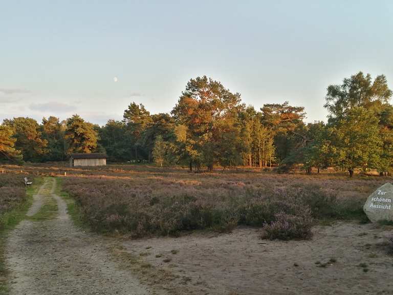 Viewpoint in Behringer Heide Routes for Walking and Hiking | Komoot