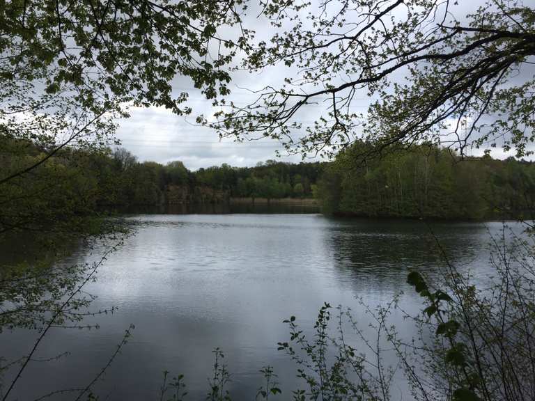 Ostufer des Vogelsberger Sees: Wanderungen und Rundwege | komoot