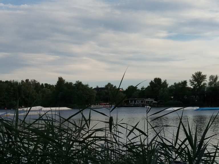 Rheinauer See, Mannheim: Radtouren und Radwege | komoot