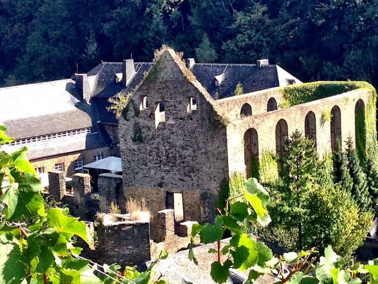 Kloster Marienthal: Wanderungen und Rundwege | komoot