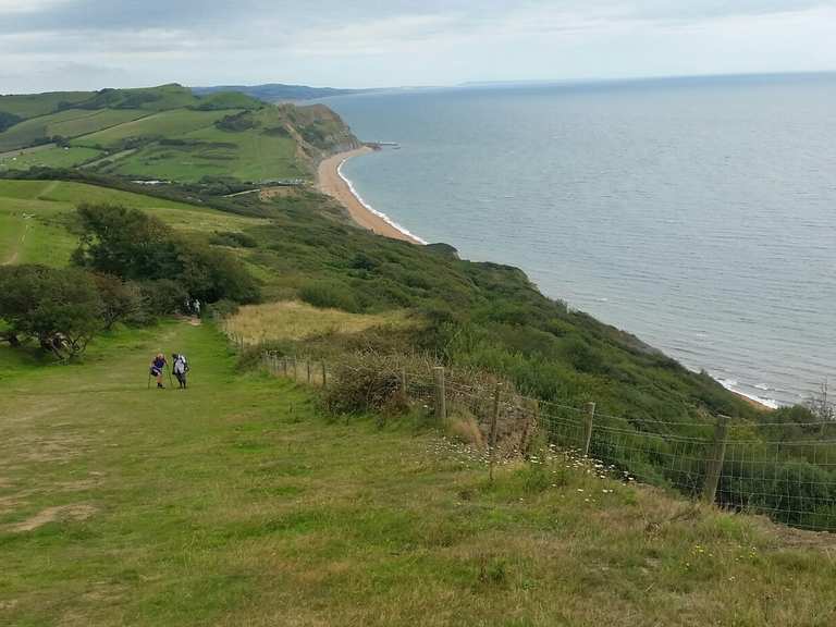 Golden Cap Routes for Walking and Hiking | Komoot