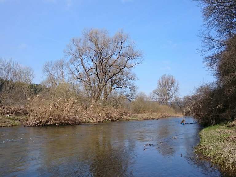 Donauversickerung - Routes for Walking and Hiking | Komoot