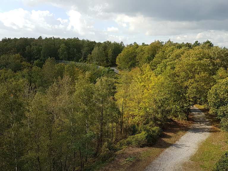Himmelstreppe Millicher Halde: Wanderungen und Rundwege | komoot