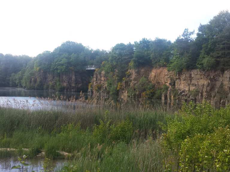 Blick auf den Vogelsberger See und die Canyon-Brücke: Wanderungen und ...