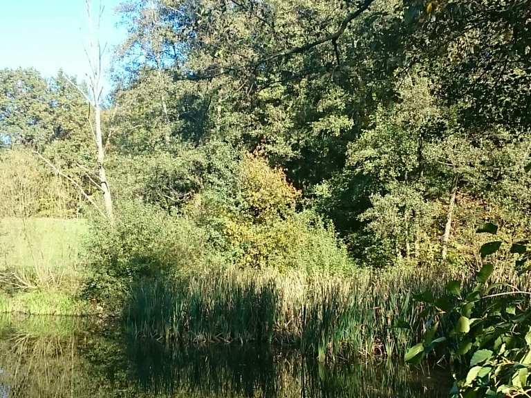 Hermannsee Routes for Walking and Hiking | Komoot