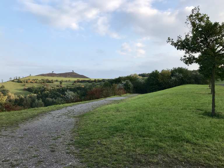 Halde Rungenberg: Wanderungen und Rundwege | komoot