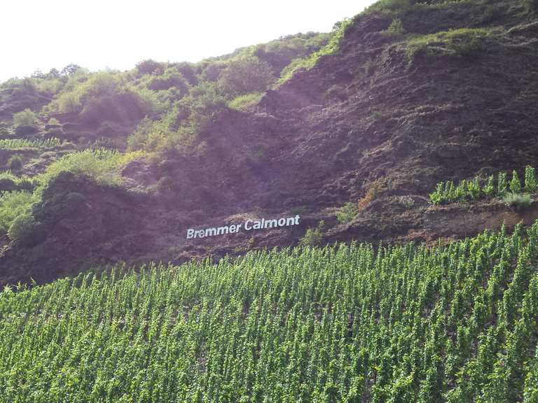 Bremmer Calmont - steilstes Weinanbaugebiet Europas - Cycle Routes and ...