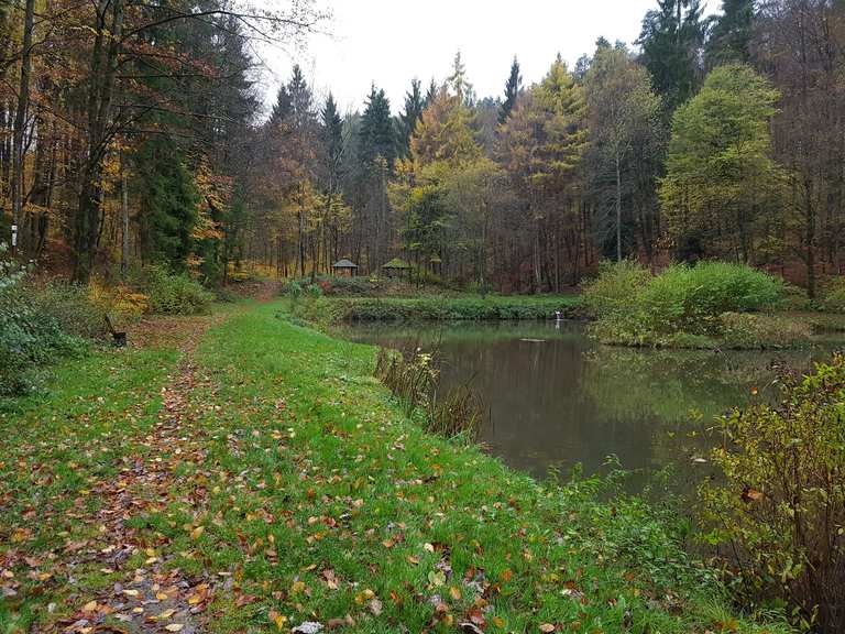Blick auf Omersbach – Gondelteich Runde von Horbach | Wanderung | Komoot