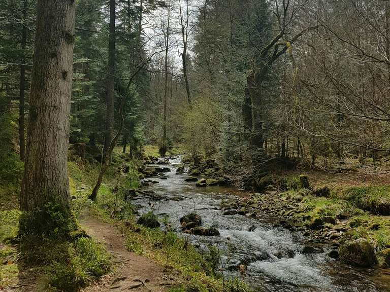 Eyach Wasserwegle: Wanderungen und Rundwege | komoot