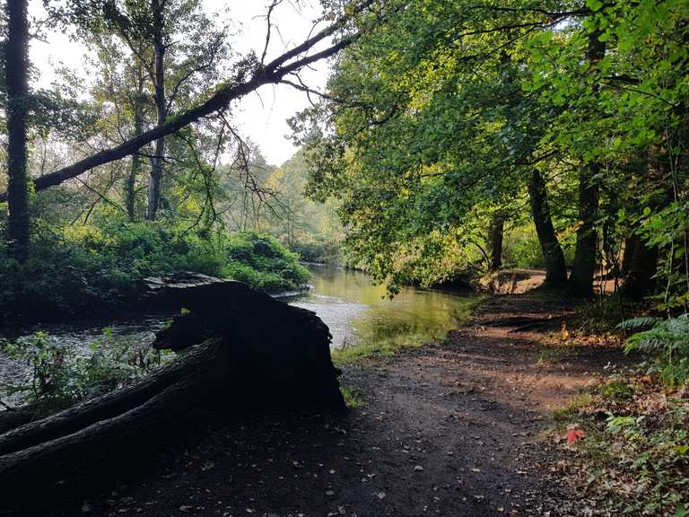 An der Swalm entlang wandelroutes en hikes | Komoot