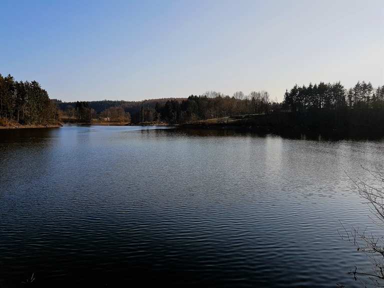 Lac de Robertville: percorsi e itinerari MTB | Komoot