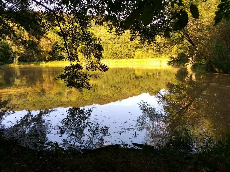 Annasee: Wanderungen und Rundwege | komoot