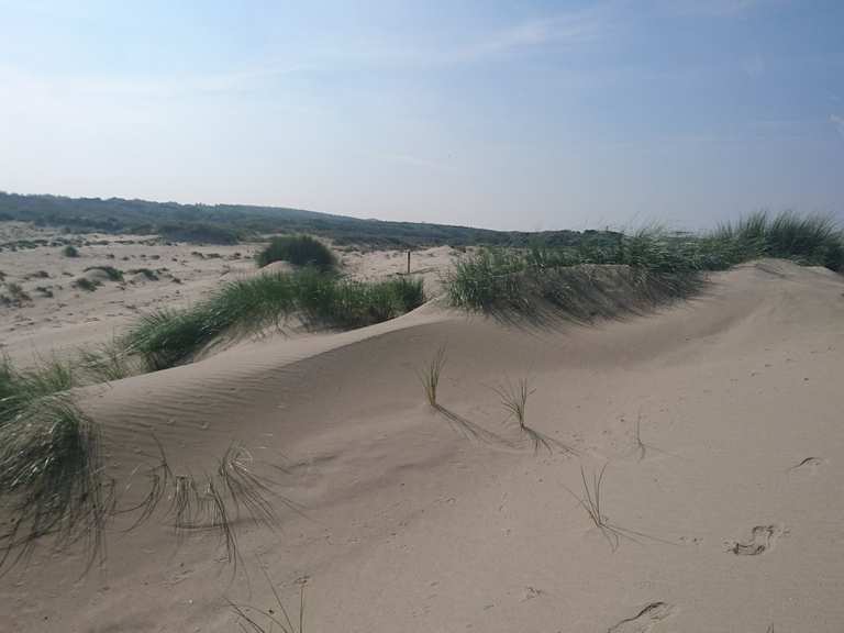 Westduinpark Routes for Walking and Hiking | Komoot