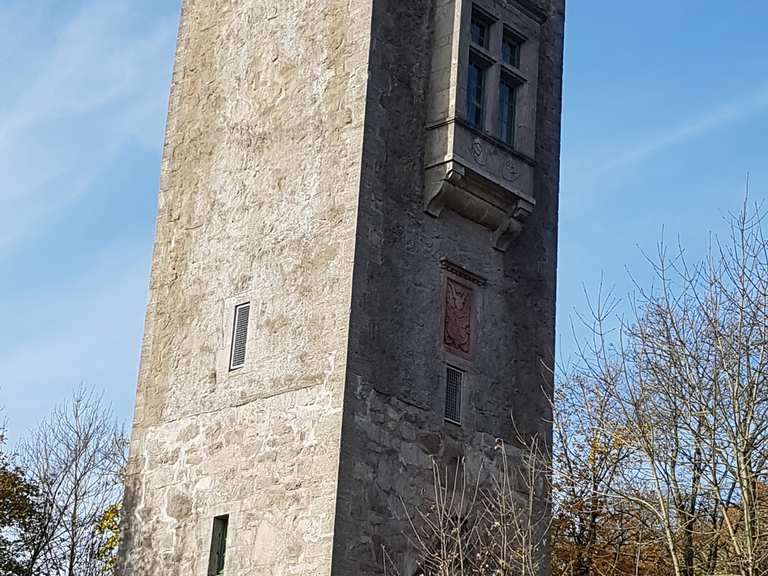 Domberg mit Bismarckturm: Wanderungen und Rundwege | komoot