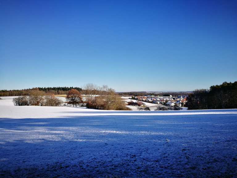 Venusberg wandelroutes en hikes | Komoot