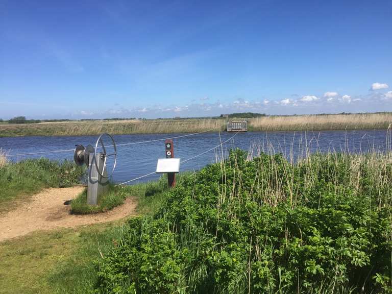 Naturgebiet Skjern Enge / Skjern Aue Routes for Walking and Hiking | Komoot
