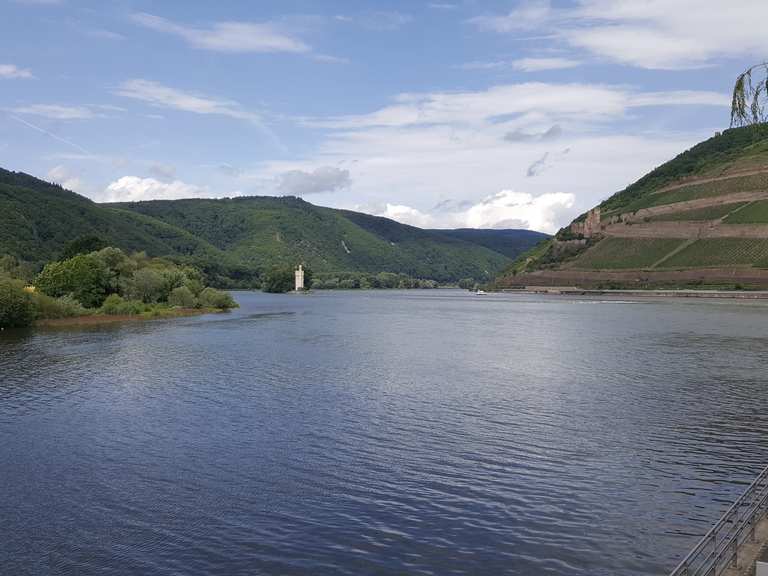Rhein-Nahe-Eck in Bingen : Radtouren und Radwege | komoot