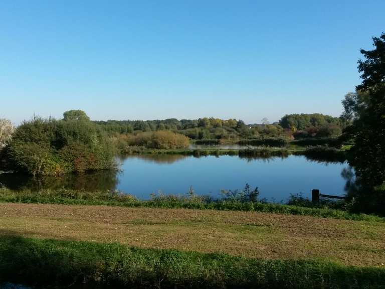 Senner Wildpferde : Radtouren und Radwege | komoot