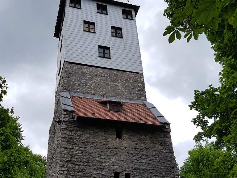 Berggasthof Moritzberg: Wanderungen und Rundwege | komoot