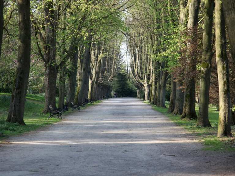 Rombergpark Botanical Garden - Cycle Routes and Map | Komoot