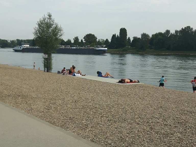 Strandbad Mannheim-Neckarau Routes for Walking and Hiking | Komoot