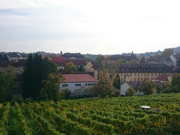 Kloster Michelsberg Routes for Walking and Hiking | Komoot
