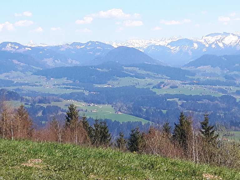 Pfänder Routes for Walking and Hiking | Komoot