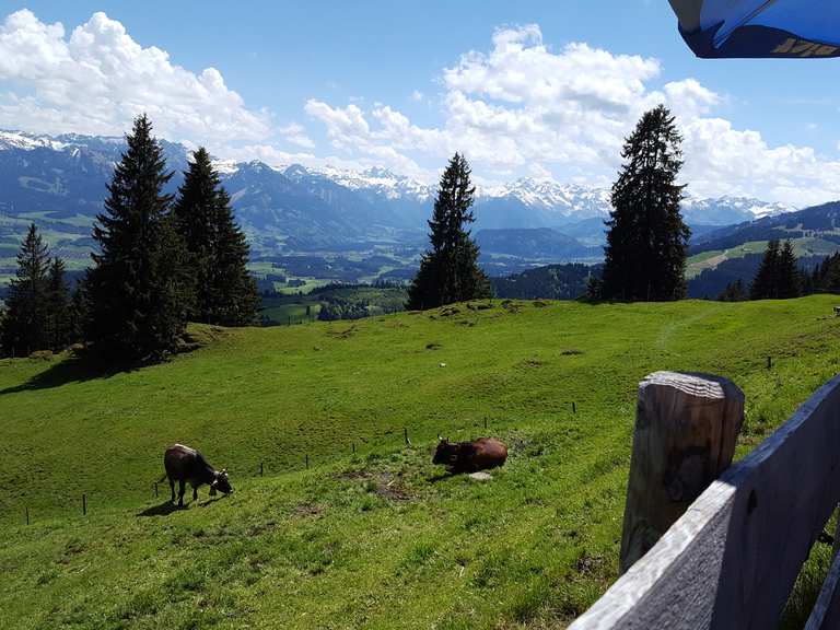 Alpe Oberberg Routes for Walking and Hiking | Komoot