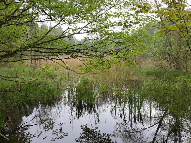 Wildgehege im Spandauer Forst – Kuhlake Rondje vanuit Tegelort ...