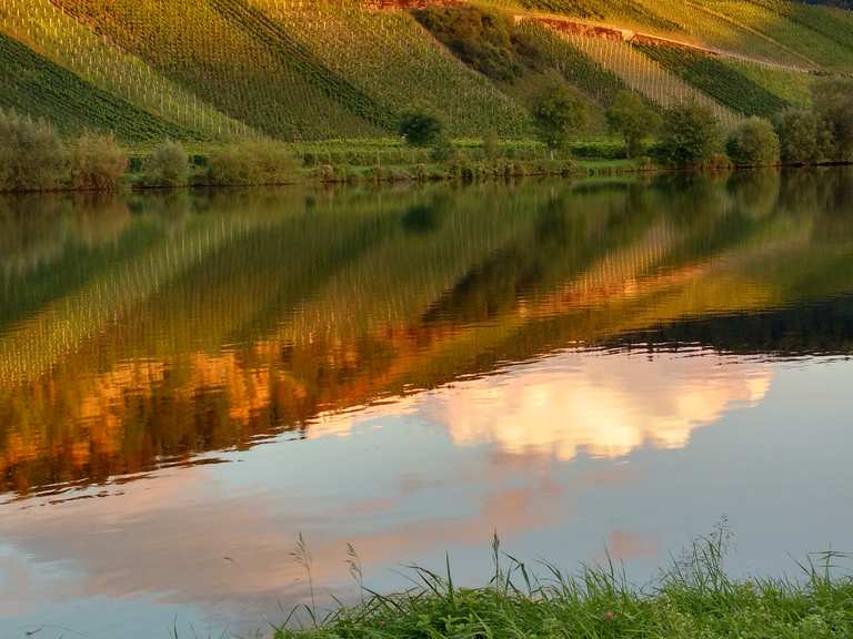 Moselbrücke Piesport - Cycle Routes and Map | Komoot