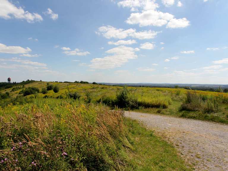 Halde Grevel : Radtouren und Radwege | komoot