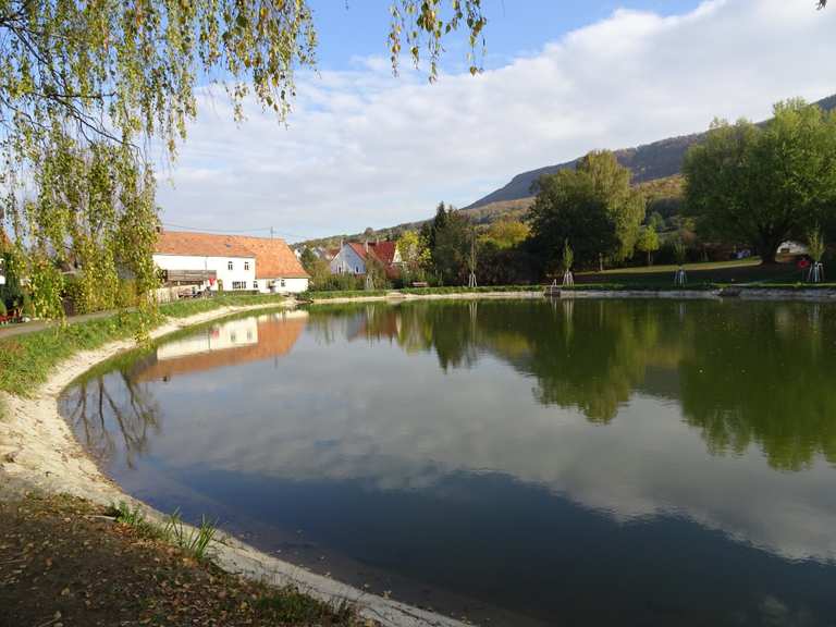 Bissinger See Routes for Walking and Hiking | Komoot