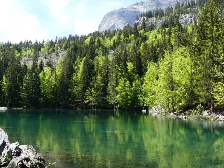 Lac Vert - Itinéraires de rando et marche | Komoot