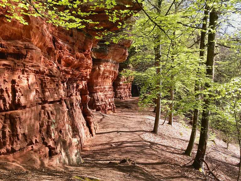 Altschlossfelsen: Wanderungen und Rundwege | komoot