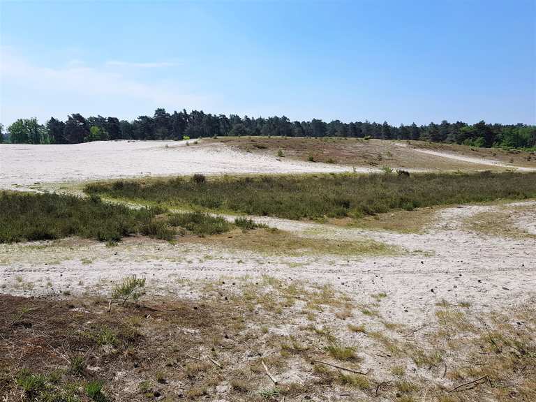 Brunssummerheide wandelroutes en hikes | Komoot