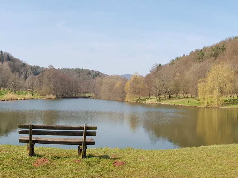 Am Silzer See oberhalb von Silz Routes for Walking and Hiking | Komoot
