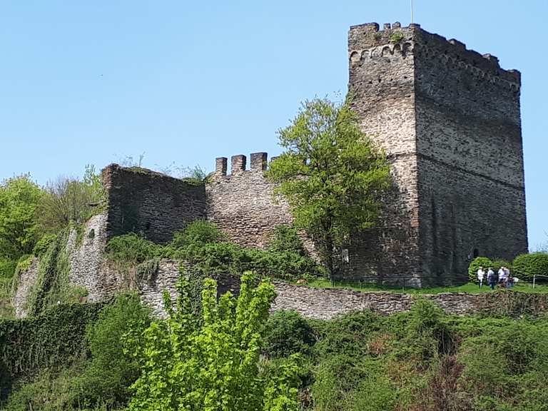 Burgruine Altwied: Wanderungen und Rundwege | komoot